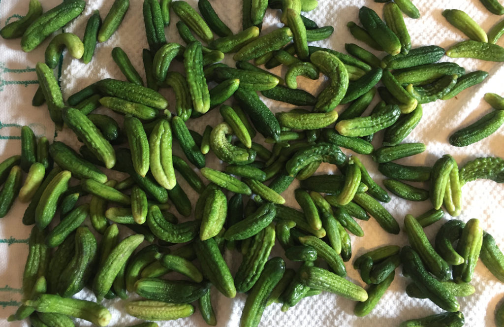 Recette cornichons maison au vinaigre - Madame Bocal